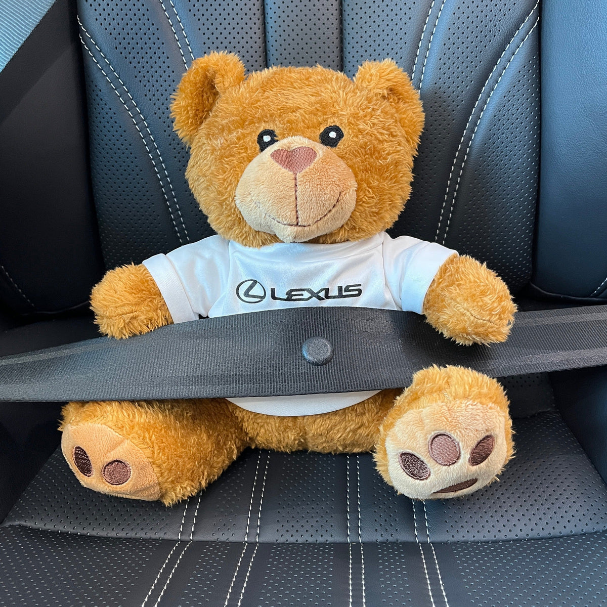 Bear - Lexus Teddy with T-Shirt – Melbourne City Lexus Shop